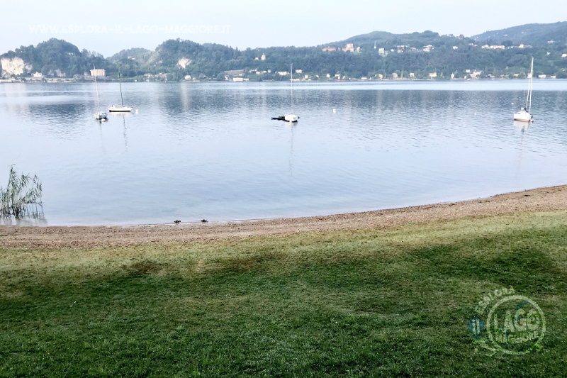 Spiaggia La Nocciola ad Angera sul Lago Maggiore | Esplora il Lago Maggiore
